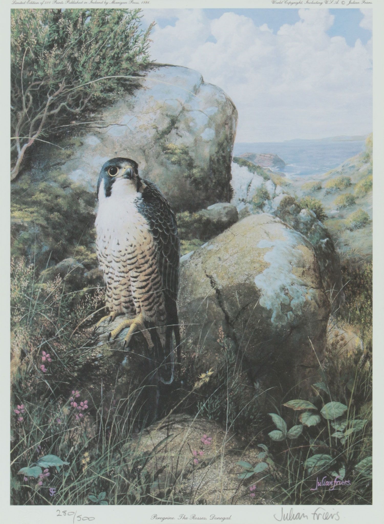 Julian Friers | PEREGRINE, THE ROSSES DONEGAL | MutualArt