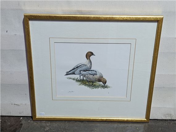 Jeremy Boot | Wood Duck | MutualArt