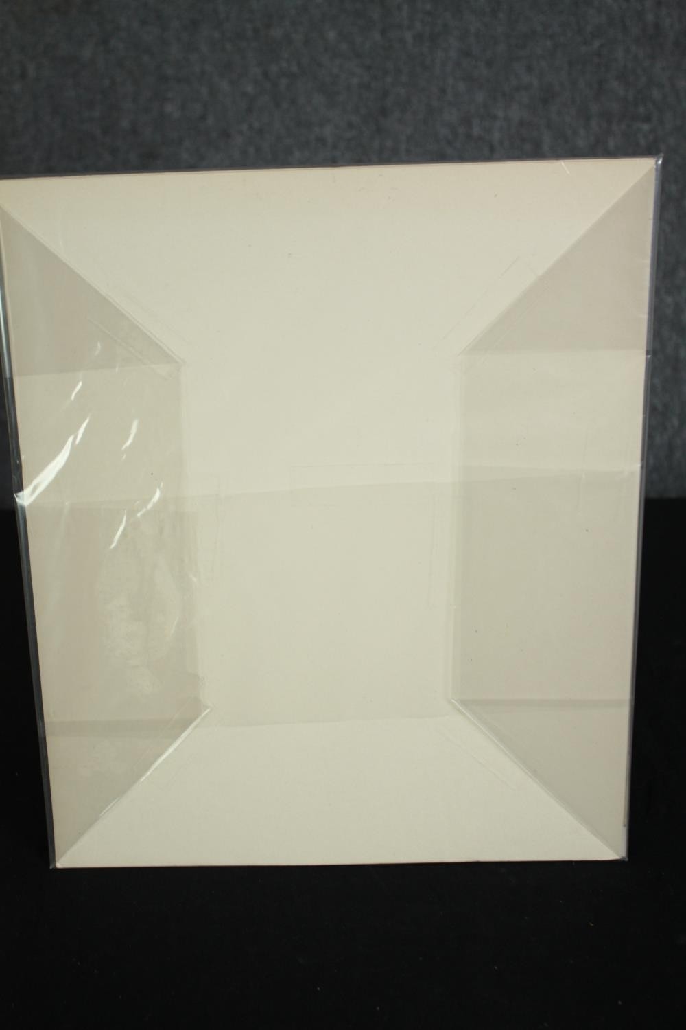 Sam Kaner | artist's proof etching | MutualArt