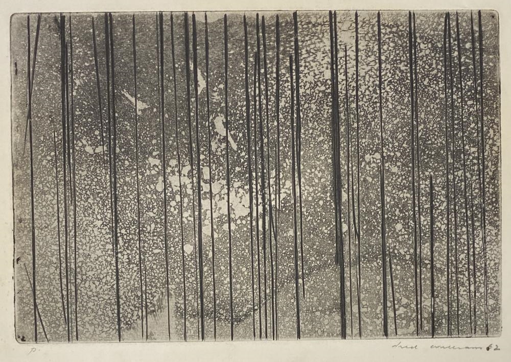 Fred Williams | Hillside No. 5 (1964) | MutualArt