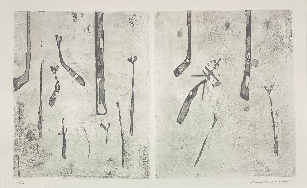 Fred Williams | Hillside No. 5 (1964) | MutualArt