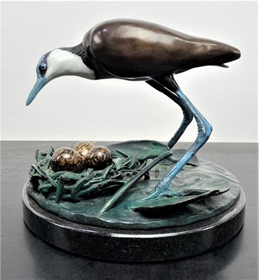 Llewellyn Davies | African Jacana & Nest | MutualArt