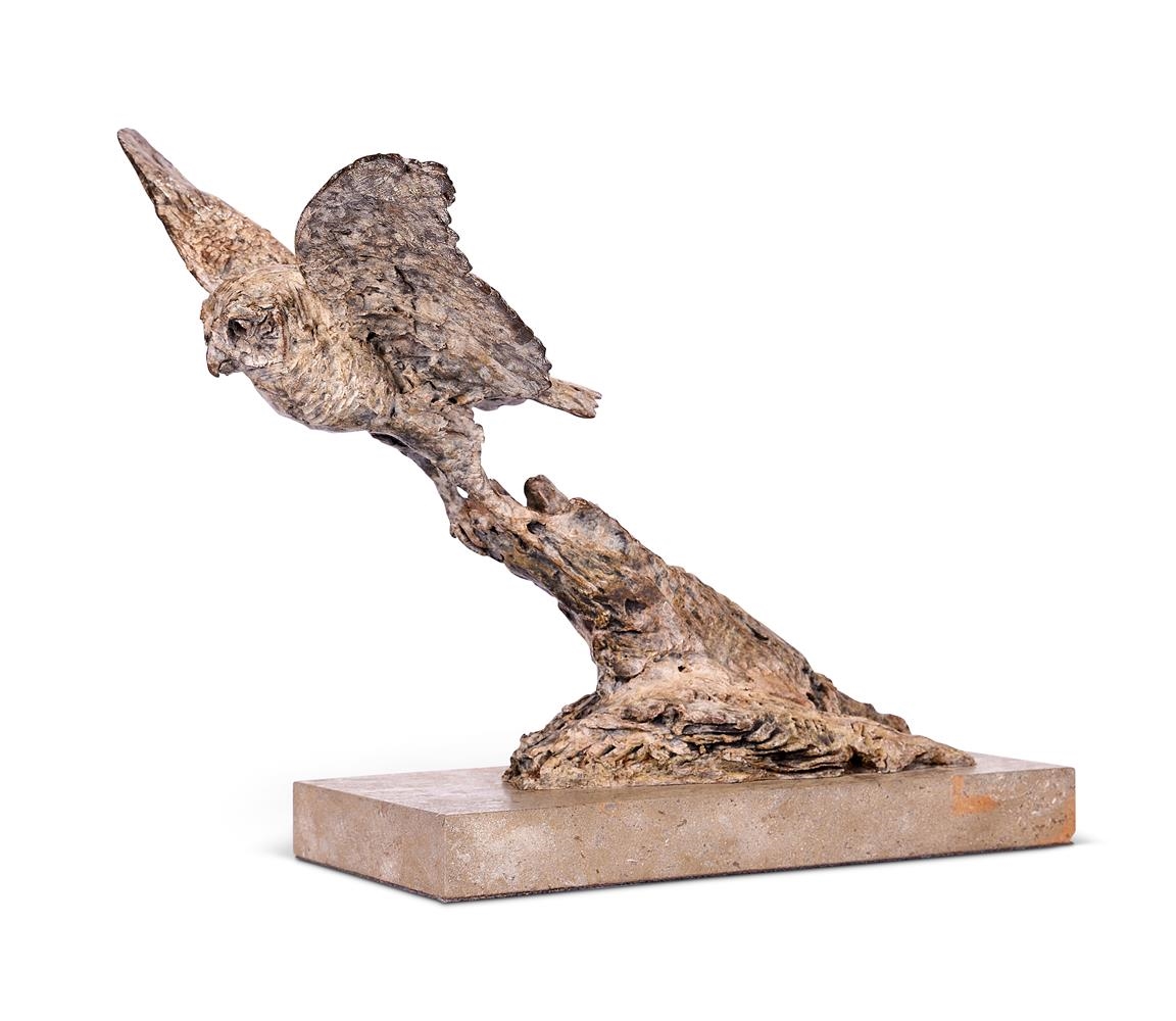 Hamish Mackie | LITTLE OWL IN FLIGHT (2013) | MutualArt