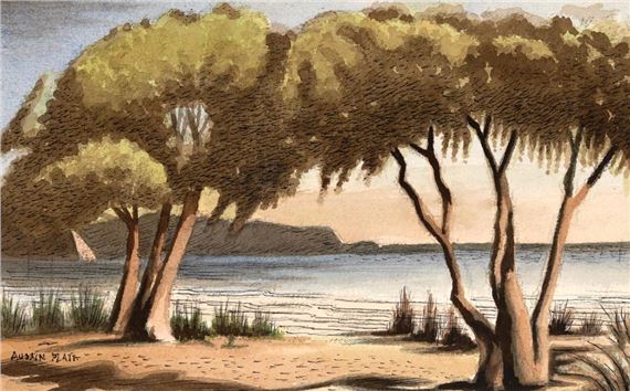 Austin Platt | Coastal Scene | MutualArt