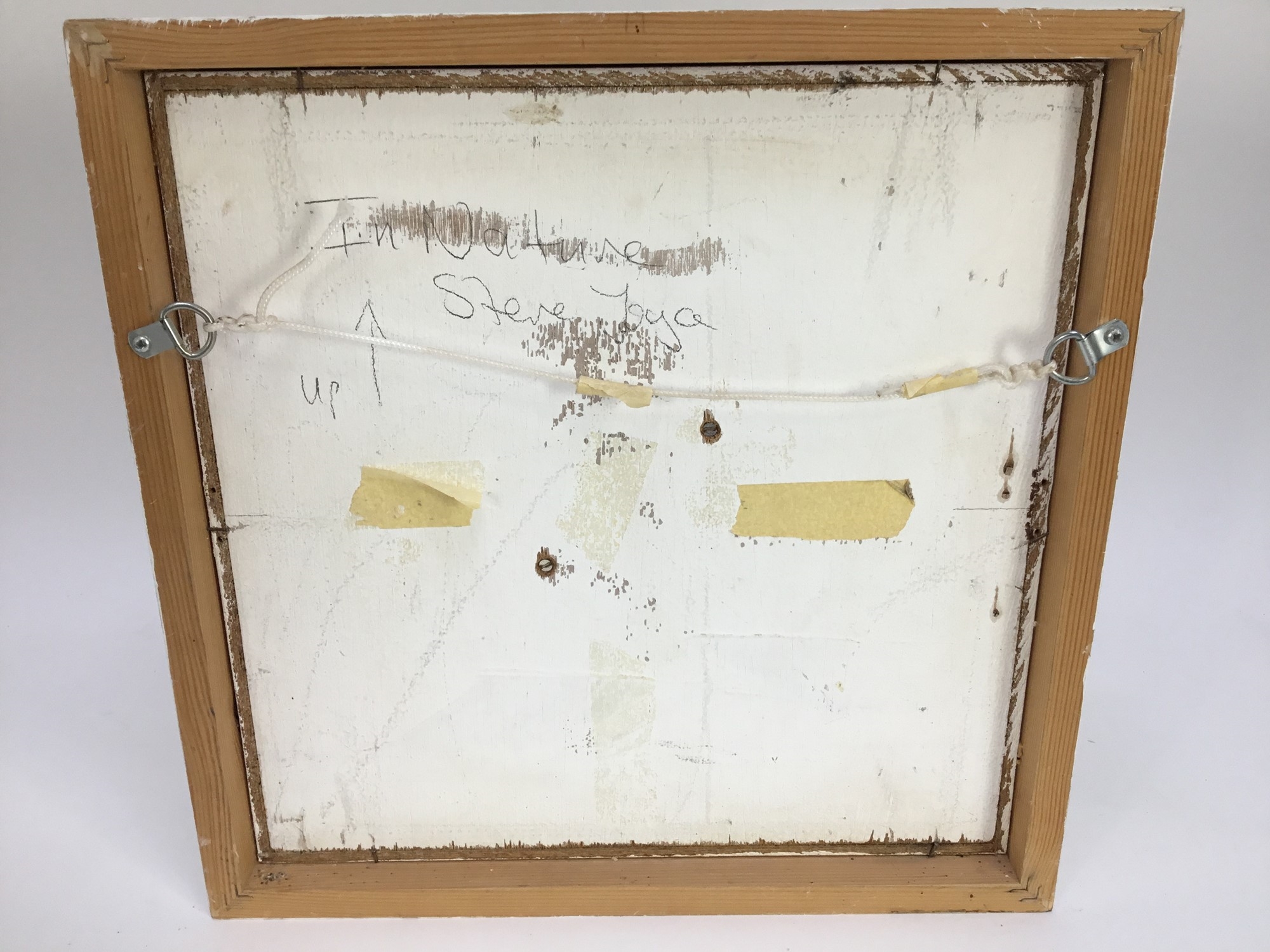 Steve Joyce | 'In Nature' and ‘The Stem’ | MutualArt