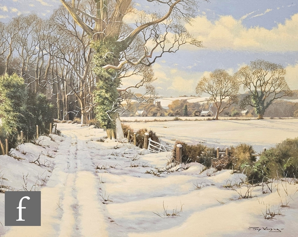 Tony Wooding | A country lane under snow | MutualArt