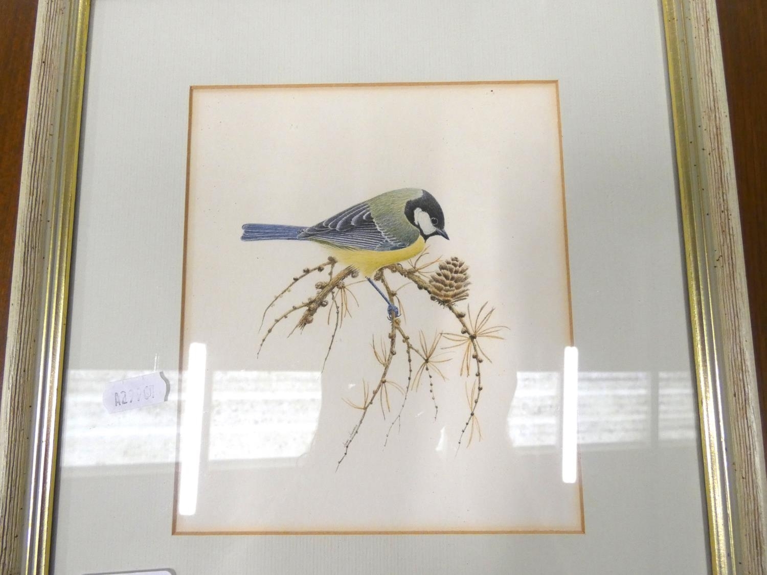 John Jinman | Blue Tit | MutualArt