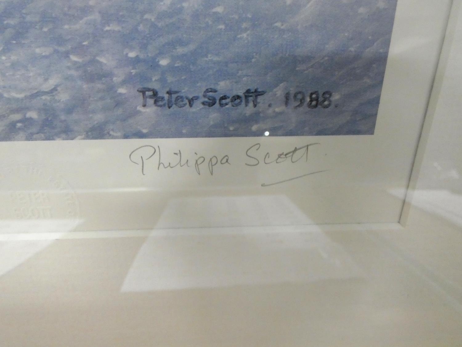 Philippa Scott | Limited edition pencil signed print by Philippa Scott ...