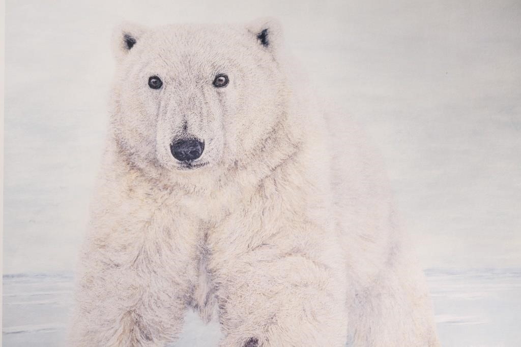 Jan Shepard-Bain | Colour lithograph. Into the Light. 23 x 22. | MutualArt