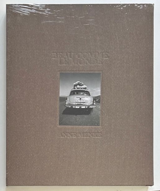 Anne Menke | Beautiful as the world (1977) | MutualArt