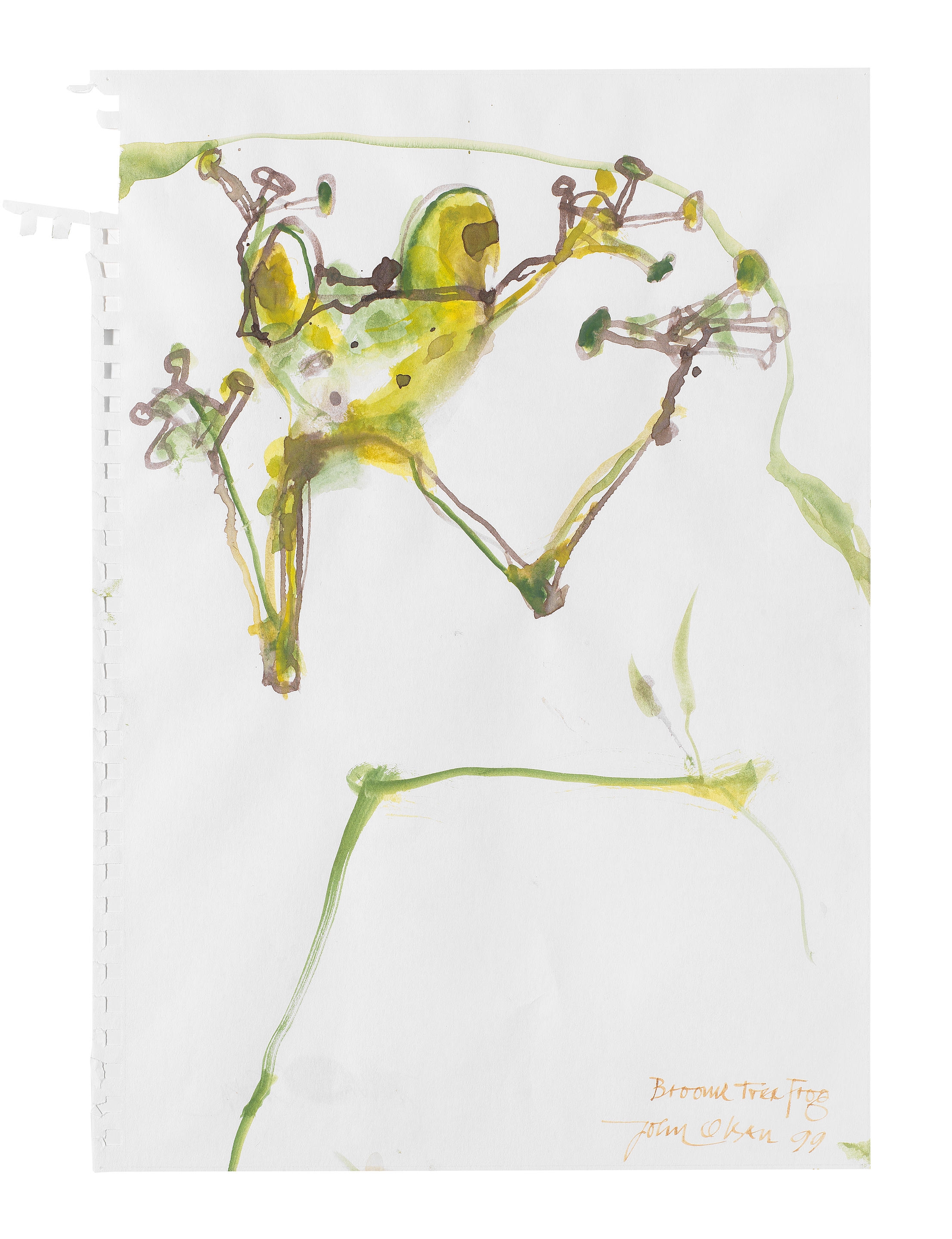 John Olsen | Broome Tree Frog, 1999 (1999) | MutualArt