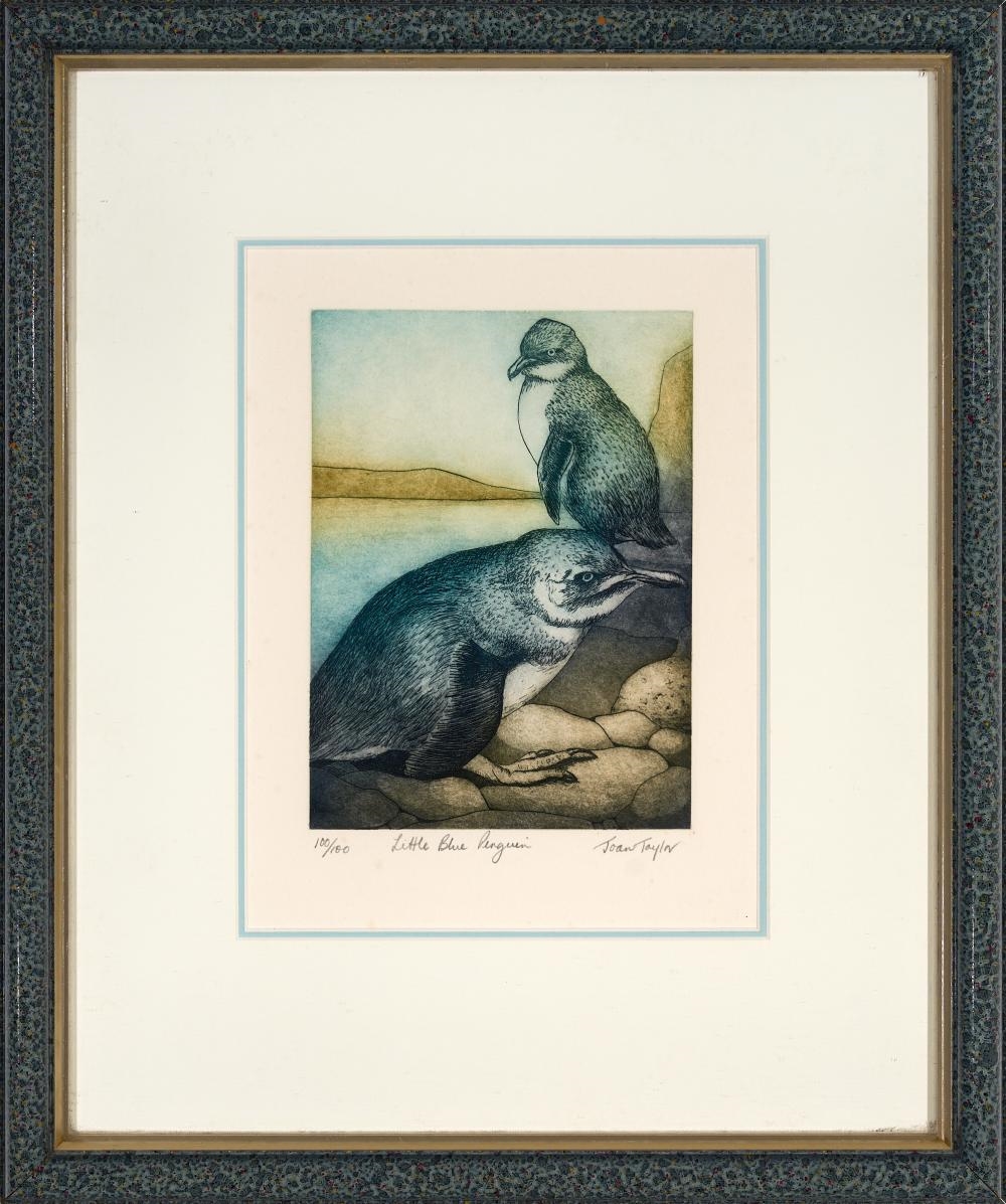 Joan Taylor | Little Blue Penguins & Godwits ( 2 works) | MutualArt
