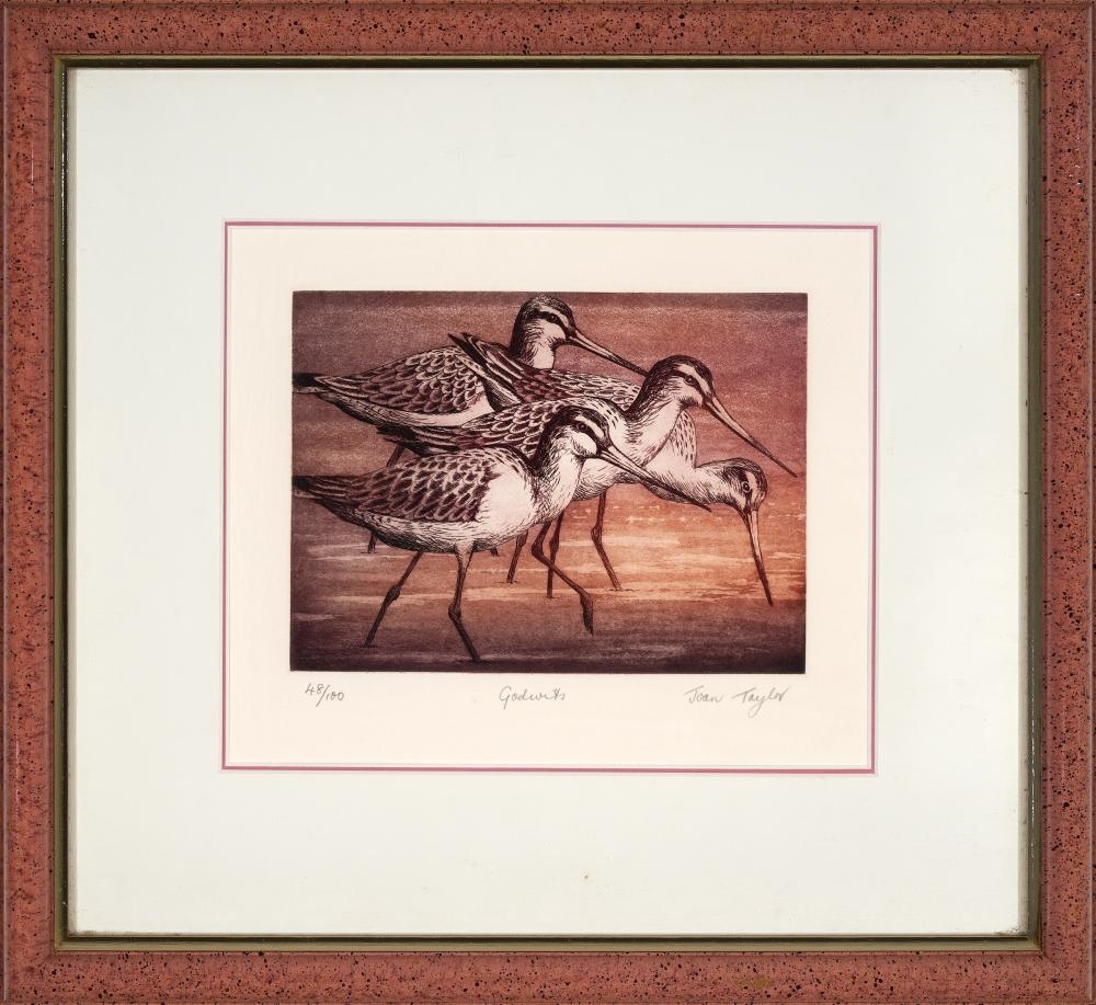 Joan Taylor | Little Blue Penguins & Godwits ( 2 works) | MutualArt