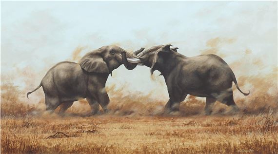Harry Antis | Bull Elephants Sparring | MutualArt