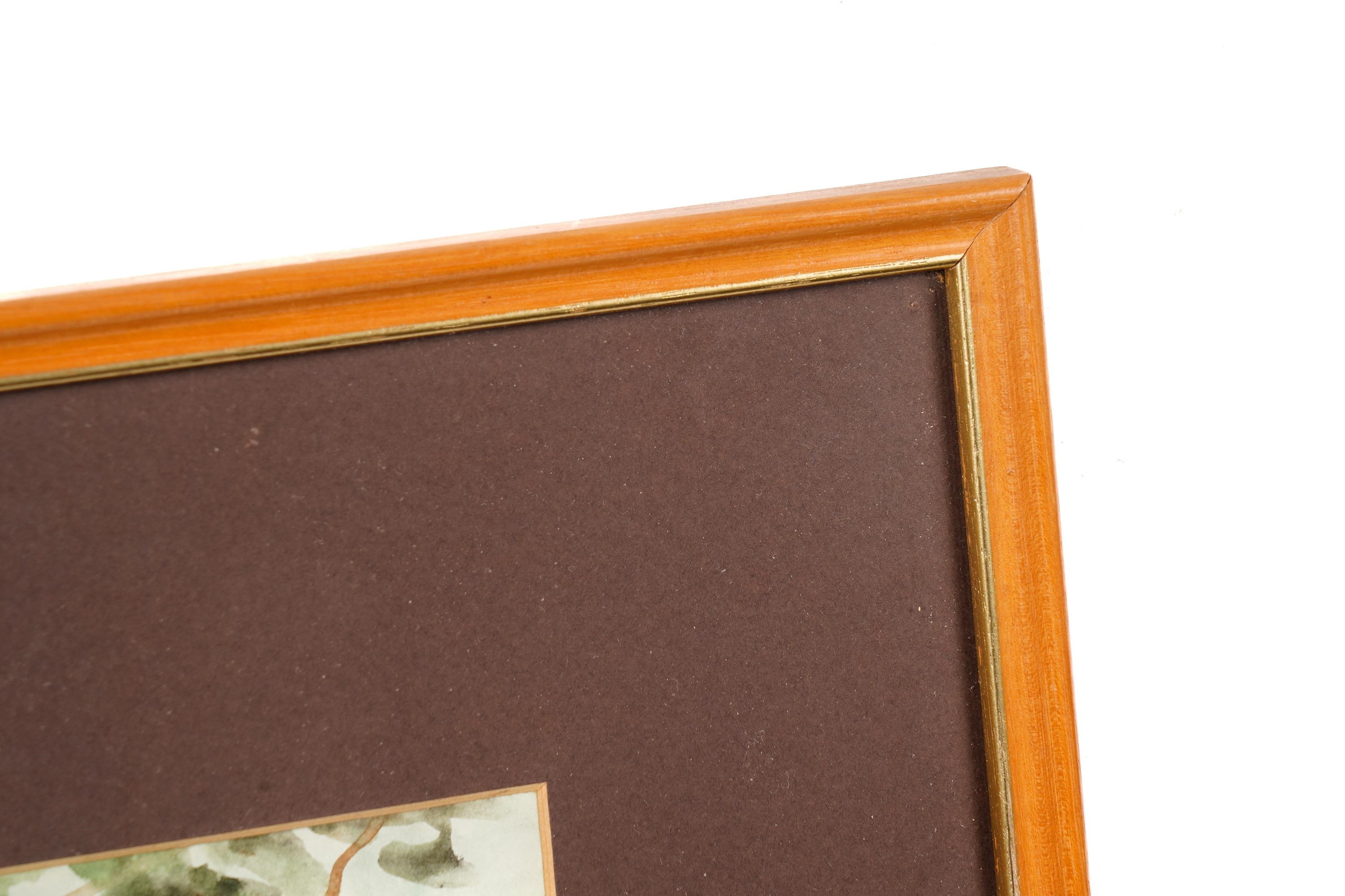 Sarah Allen | Sadie Allen - The White Foxglove | watercolour | MutualArt