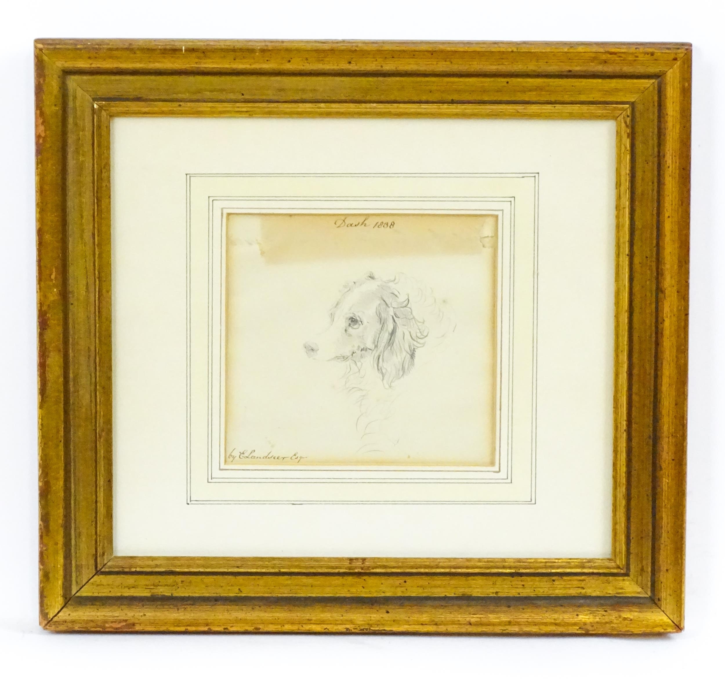Edwin Landseer | s King Charles Spaniel Dash. Ascribed 'Dash 1838 by E ...