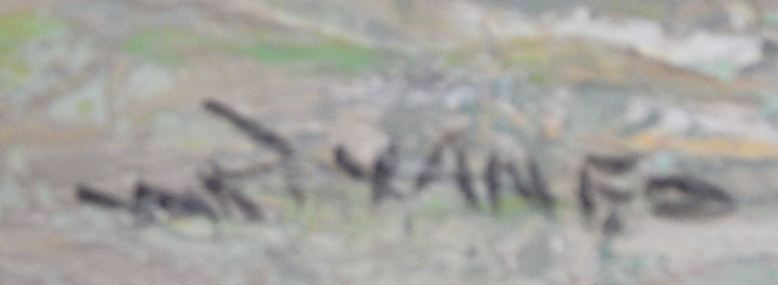 Walter Ed | Prof.Walter Van Ed Prescher (*1916-1988) View of Paris with ...