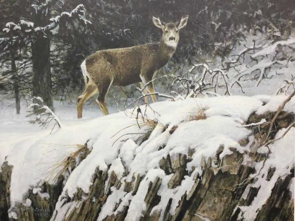 Robert McLellan Bateman | Robert Bateman Signed & Numbered Lithograph ...