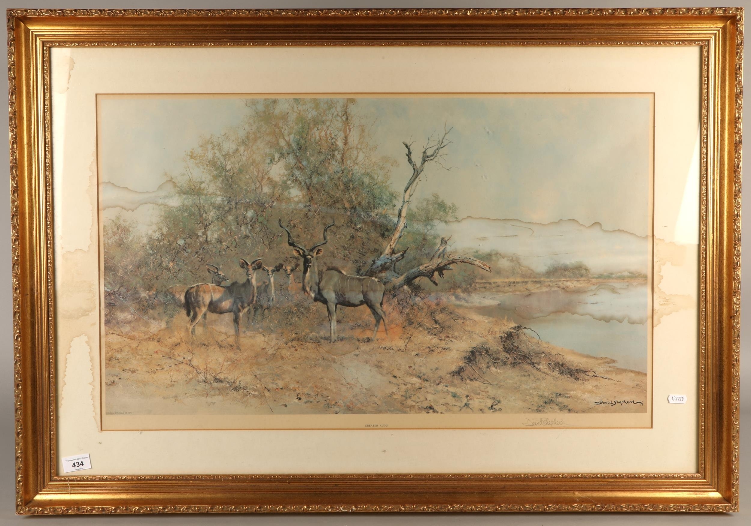 David Shepherd | Greater Kudu | MutualArt
