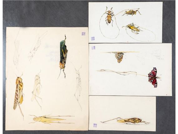 Jean Durand | D'étude au crayon et à l'aquarelle représentant des ...