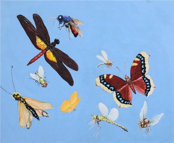 Mel Hunter | Mel Hunter Illustration Insects | MutualArt