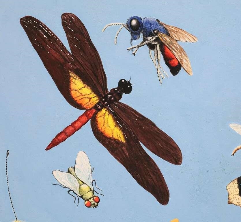 Mel Hunter | Mel Hunter Illustration Insects | MutualArt