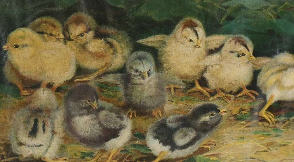 Ben Austrian | Ben Austrian Lithograph Battle of the Chicks | MutualArt