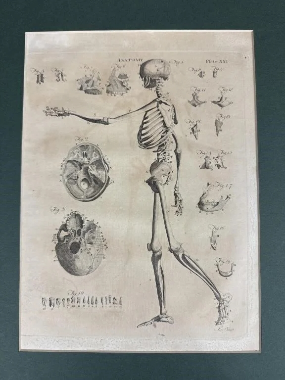 Scot Philadelphia | Anatomy | MutualArt