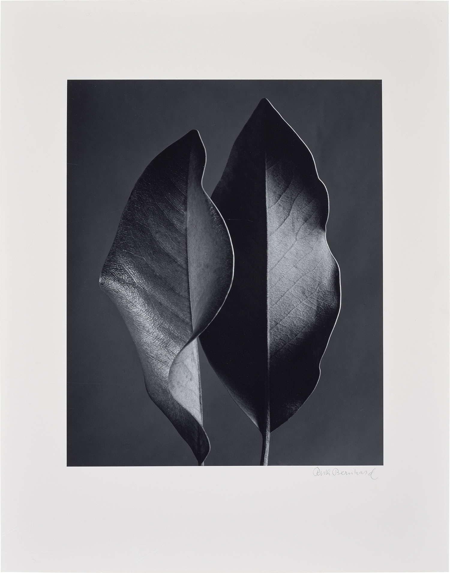 Ruth Bernhard | `TWO FORMS' | MutualArt