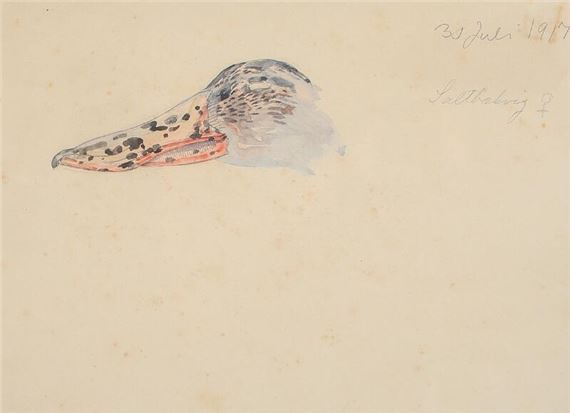 Larsen Johannes | Study of a northern shoveler (1917) | Compare similar ...