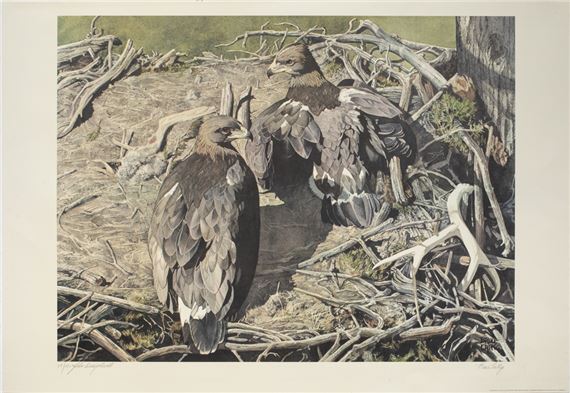 John Craighead | Birds of North America | MutualArt