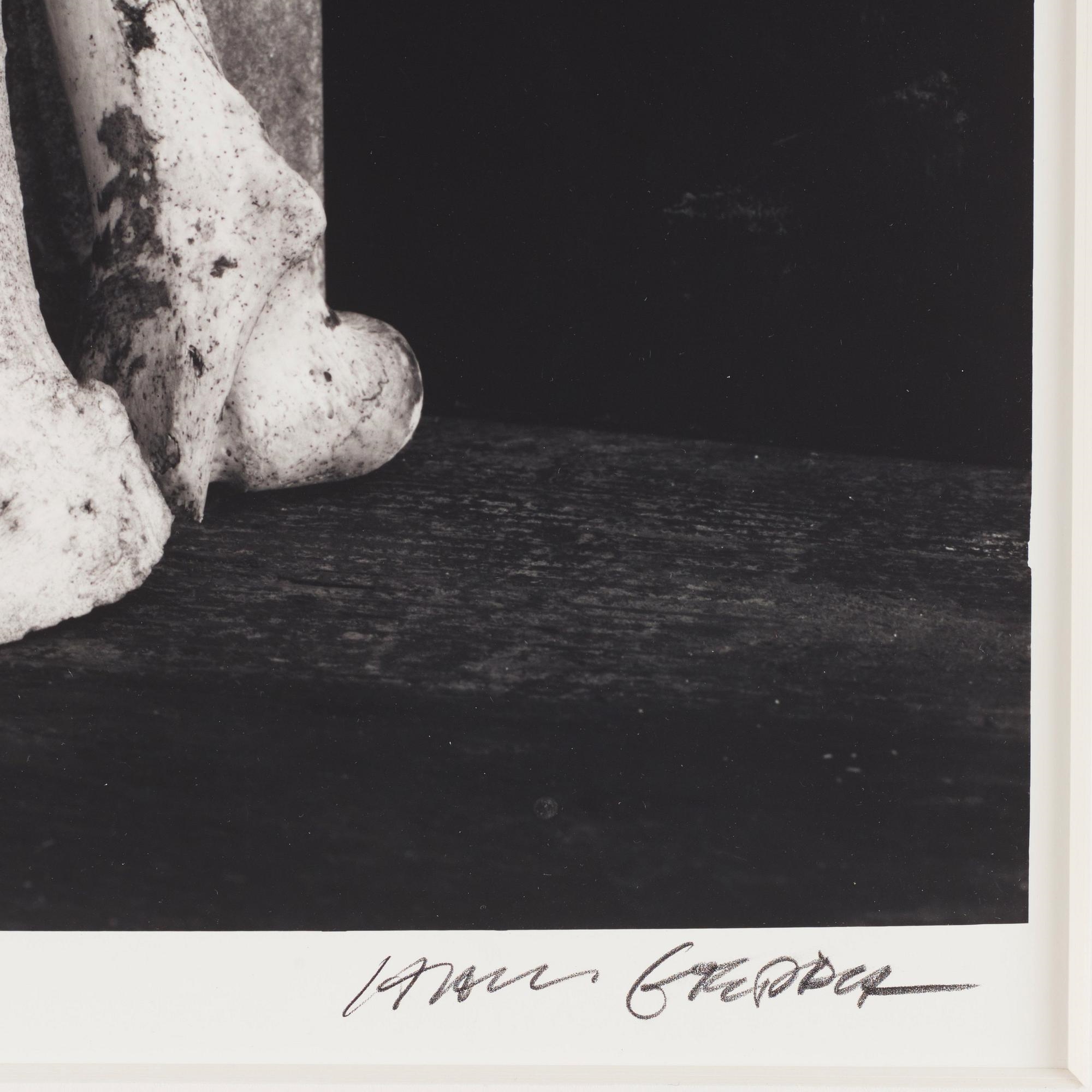 Hans Gedda | 'Stilleben med död fågel (1996) | MutualArt