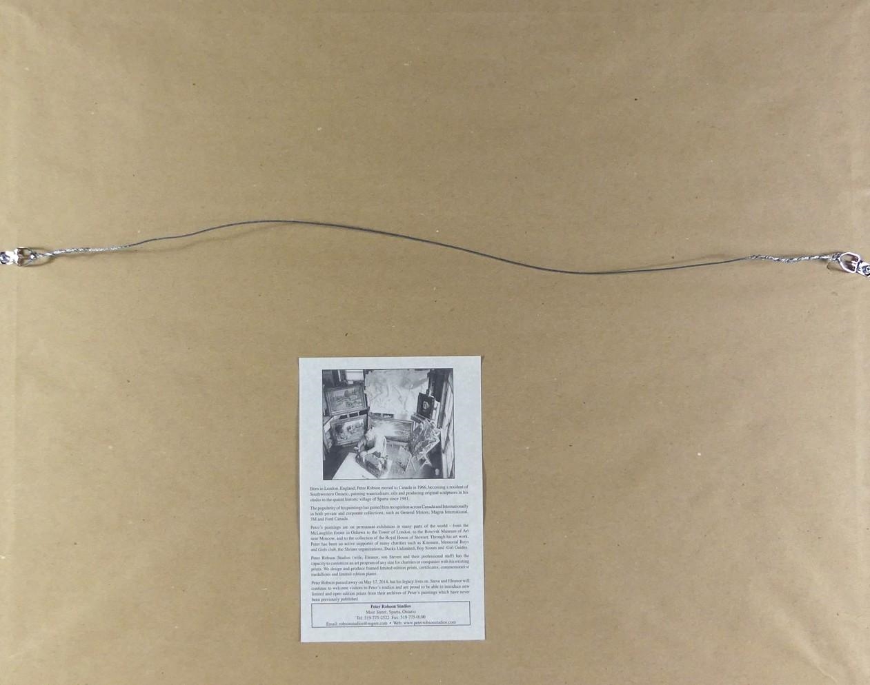 Peter Robson | Image, Form and Colour | MutualArt