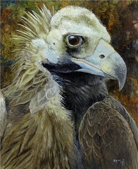 Barry Kent Mackay | Cinereous Vulture (2019) | MutualArt