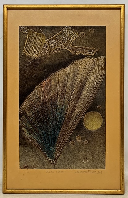 Rimer Cardillo | Élitro sideral | MutualArt