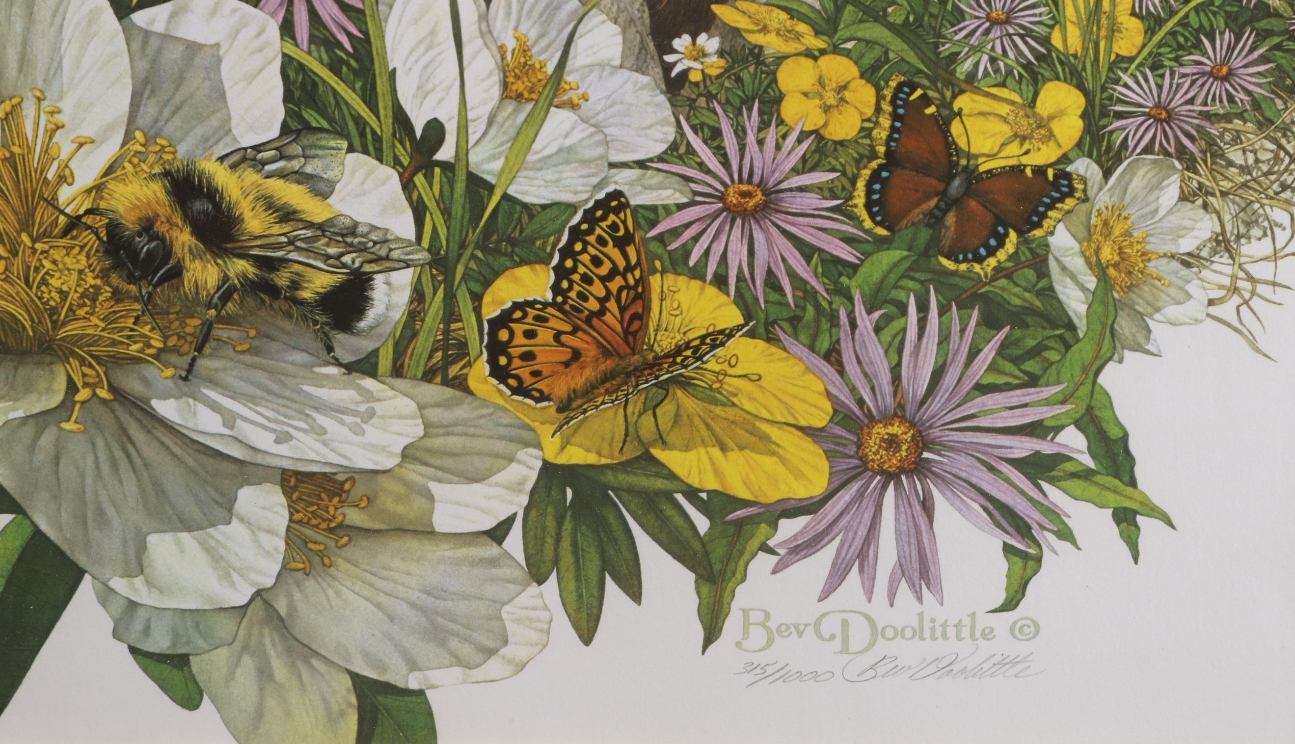 Bev Doolittle | Bugged Bear | MutualArt