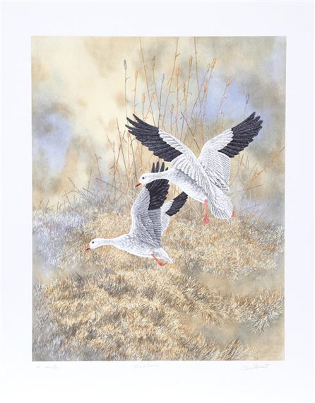Chris Forrest | SNOW GEESE LANDING (1980) | MutualArt