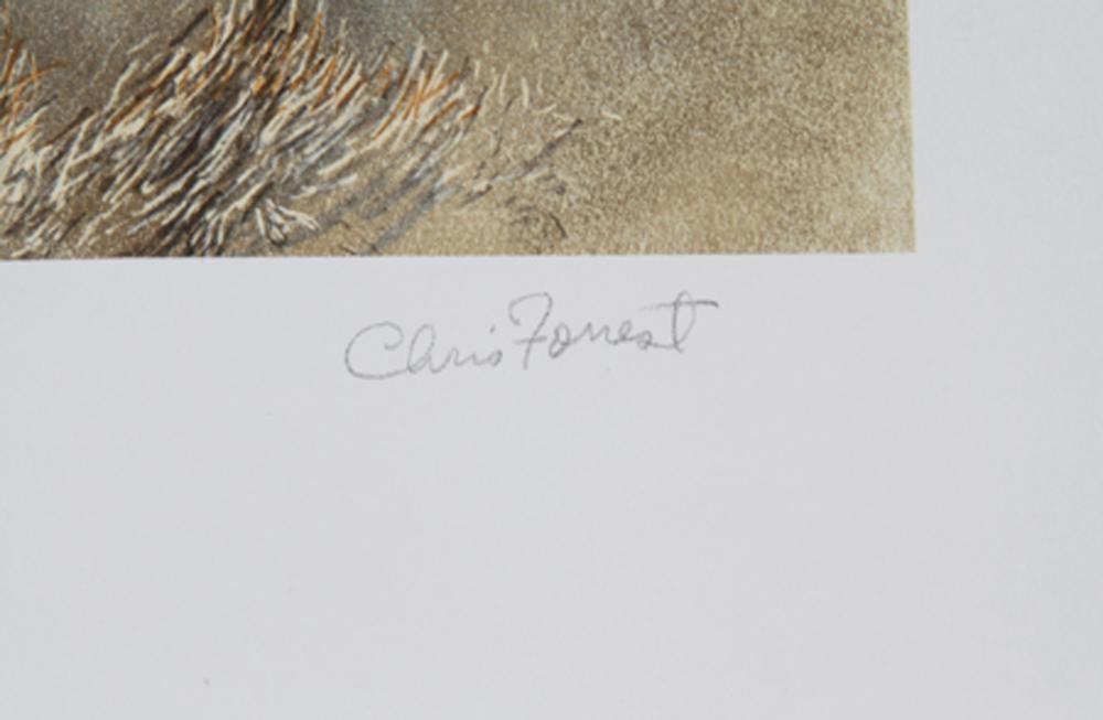 Chris Forrest | SNOW GEESE LANDING (1980) | MutualArt