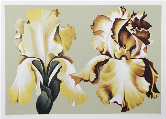 Lowell Nesbitt | TWO YELLOW IRISES ON SAGE I (1980) | MutualArt