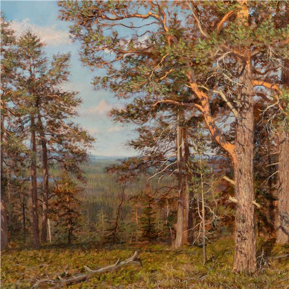 Jorma Helenius | Ruka | MutualArt