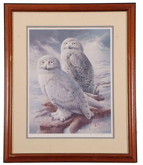 Raymond C. Watson | The Snowy Owl (1984) | MutualArt