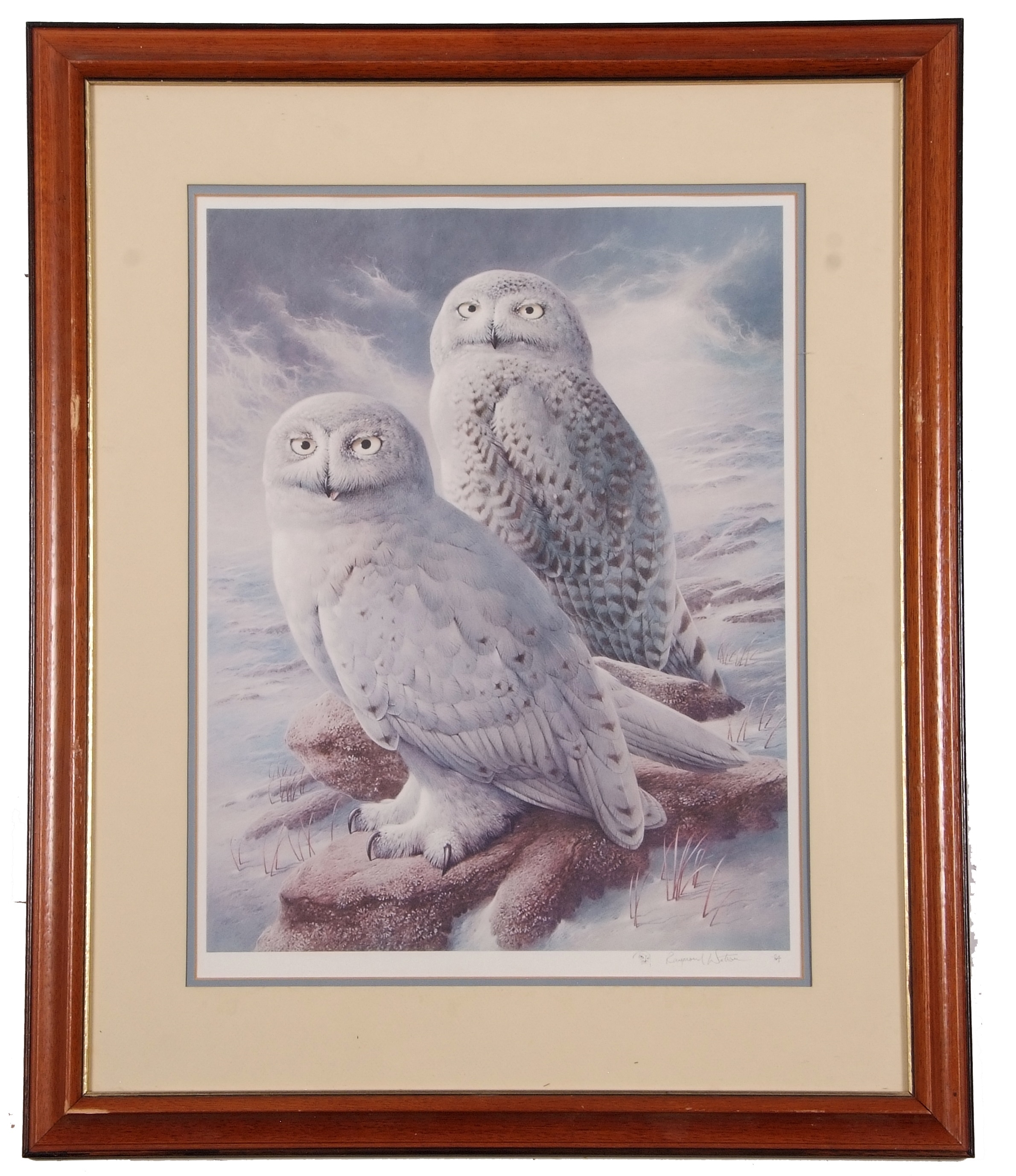 Raymond C. Watson | The Snowy Owl (1984) | MutualArt