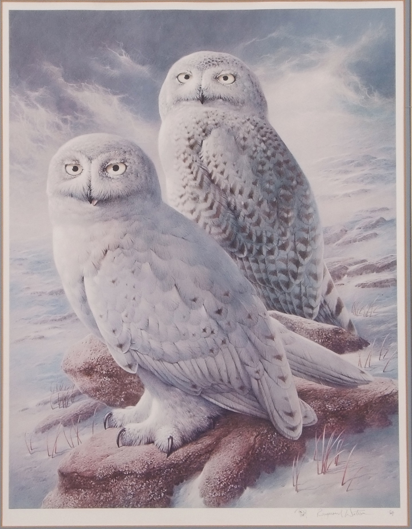 Raymond C. Watson | The Snowy Owl (1984) | MutualArt