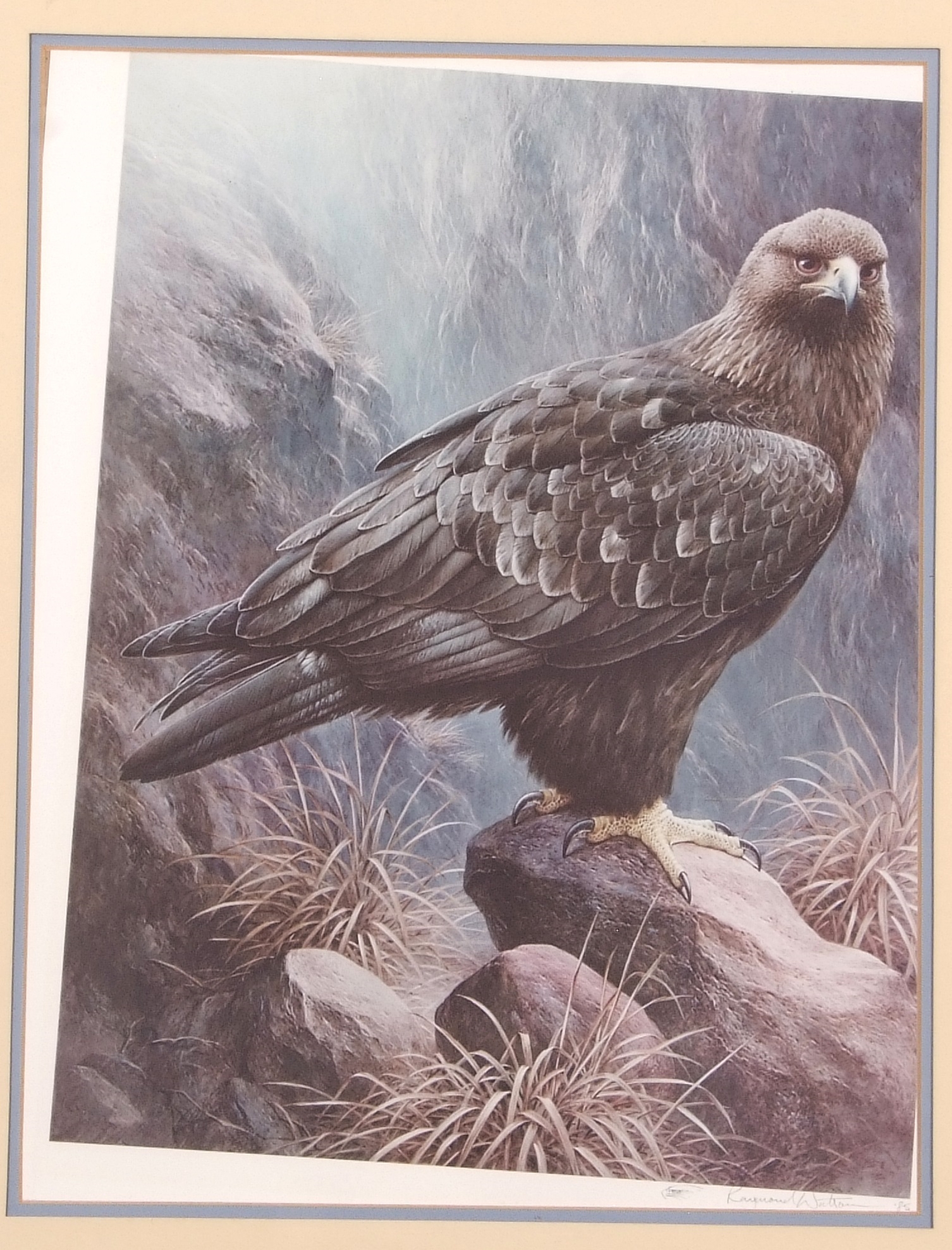 Raymond C. Watson | The Golden Eagle (1985) | MutualArt