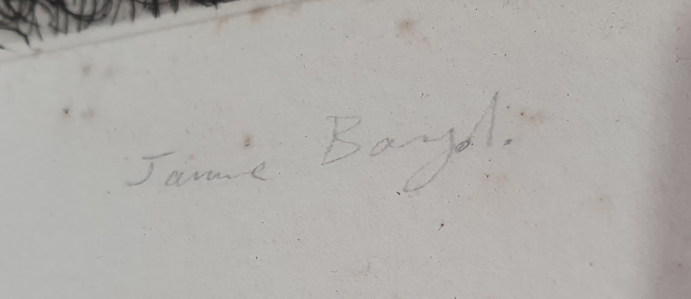 Jamie Boyd | untitled (Call of the Wild) | MutualArt