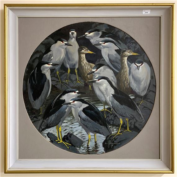 Keith Shackleton | Night Herons In the Tide Pools, Carcass Islands ...