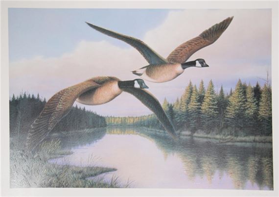 Pat McManus | SNOW GEESE | MutualArt