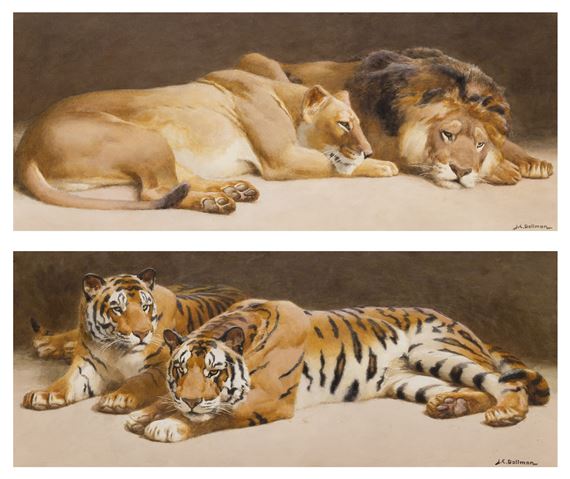 John Charles Dollman | Tigers | MutualArt