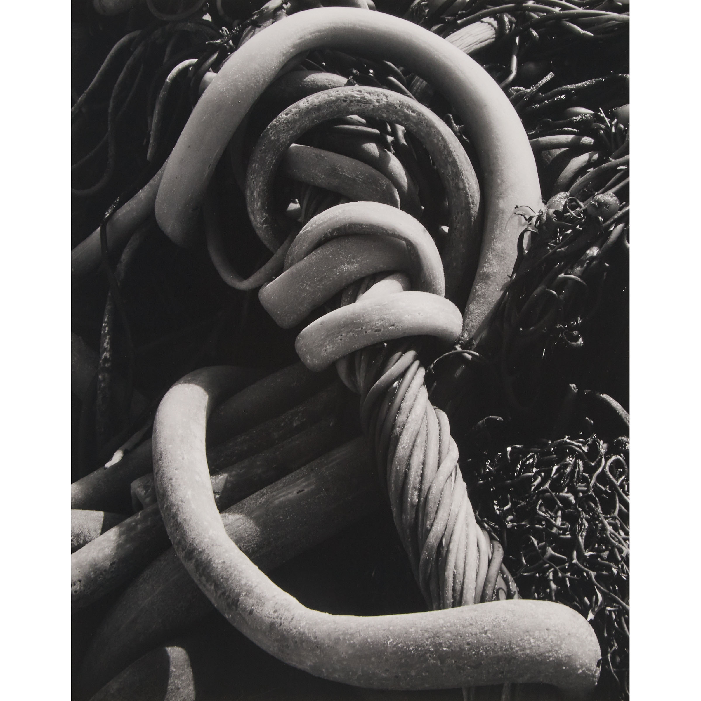 Edward Weston | 'NUDE ON SAND' | MutualArt