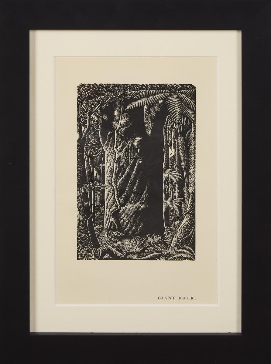 E. Mervyn Taylor | E . MERVYN TAYLOR Giant Kauri | MutualArt